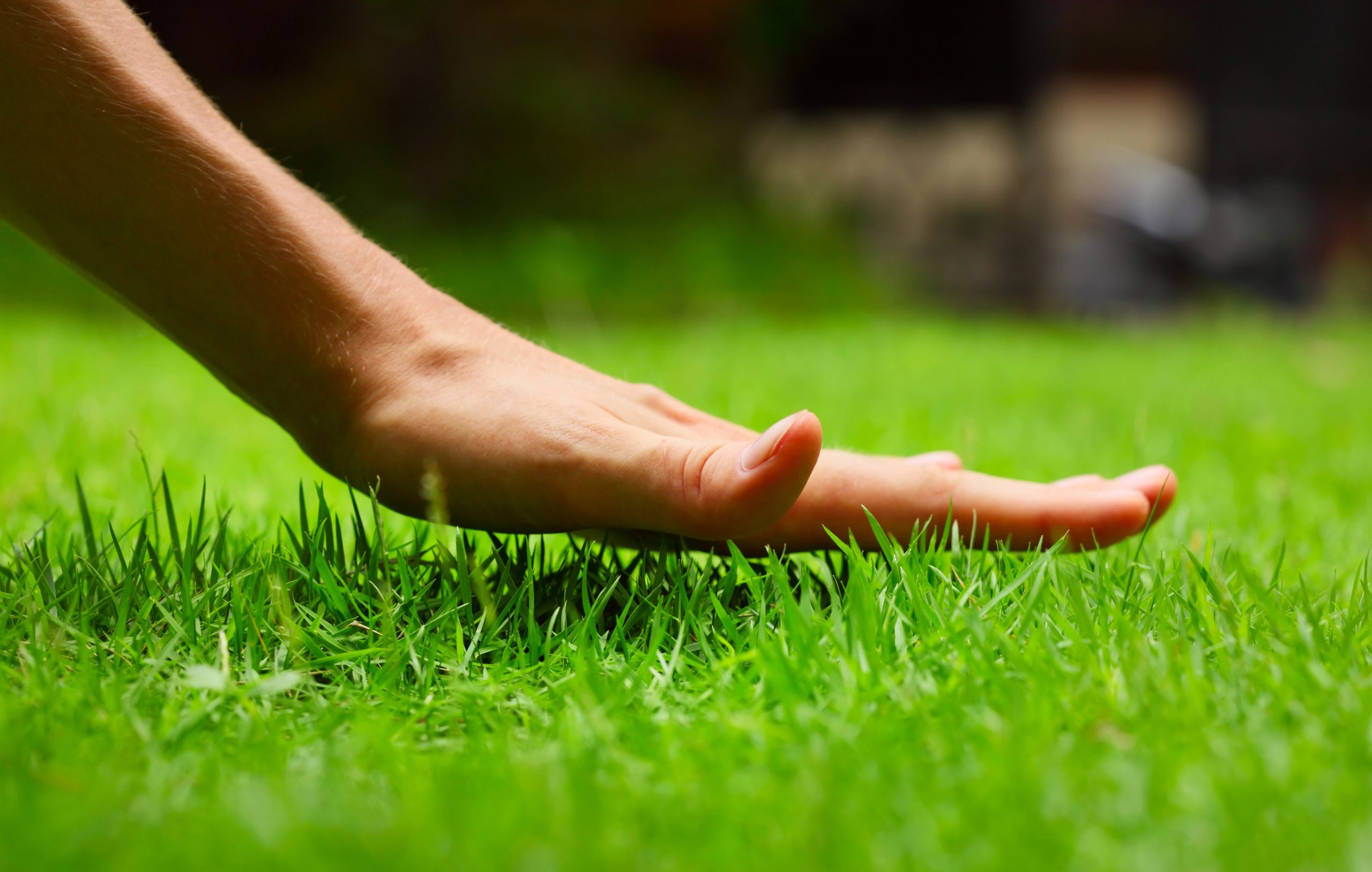 Home - Above Ground Care Inc.